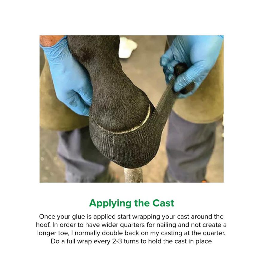 3D HoofCare HoofCast - HorseCare