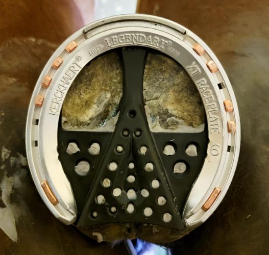 3D HoofCare Half Mesh Hoof Pad - HorseCare