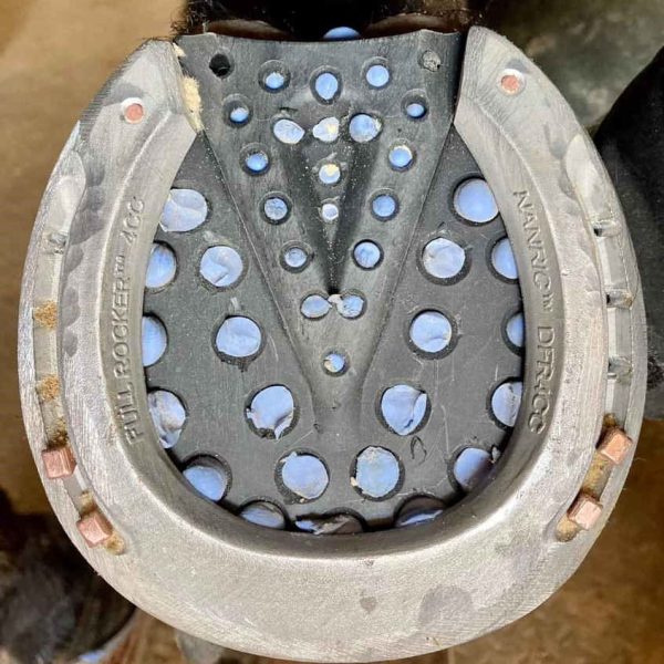 3D HoofCare Full Mesh Hoof Pad - HorseCare